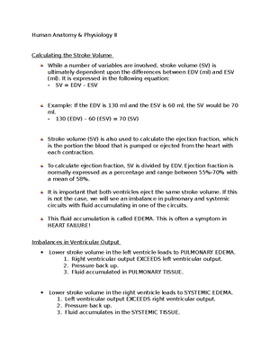 Anatomy 52 - blood vessels - Blood flow , BP , B resistance Blood flow ...