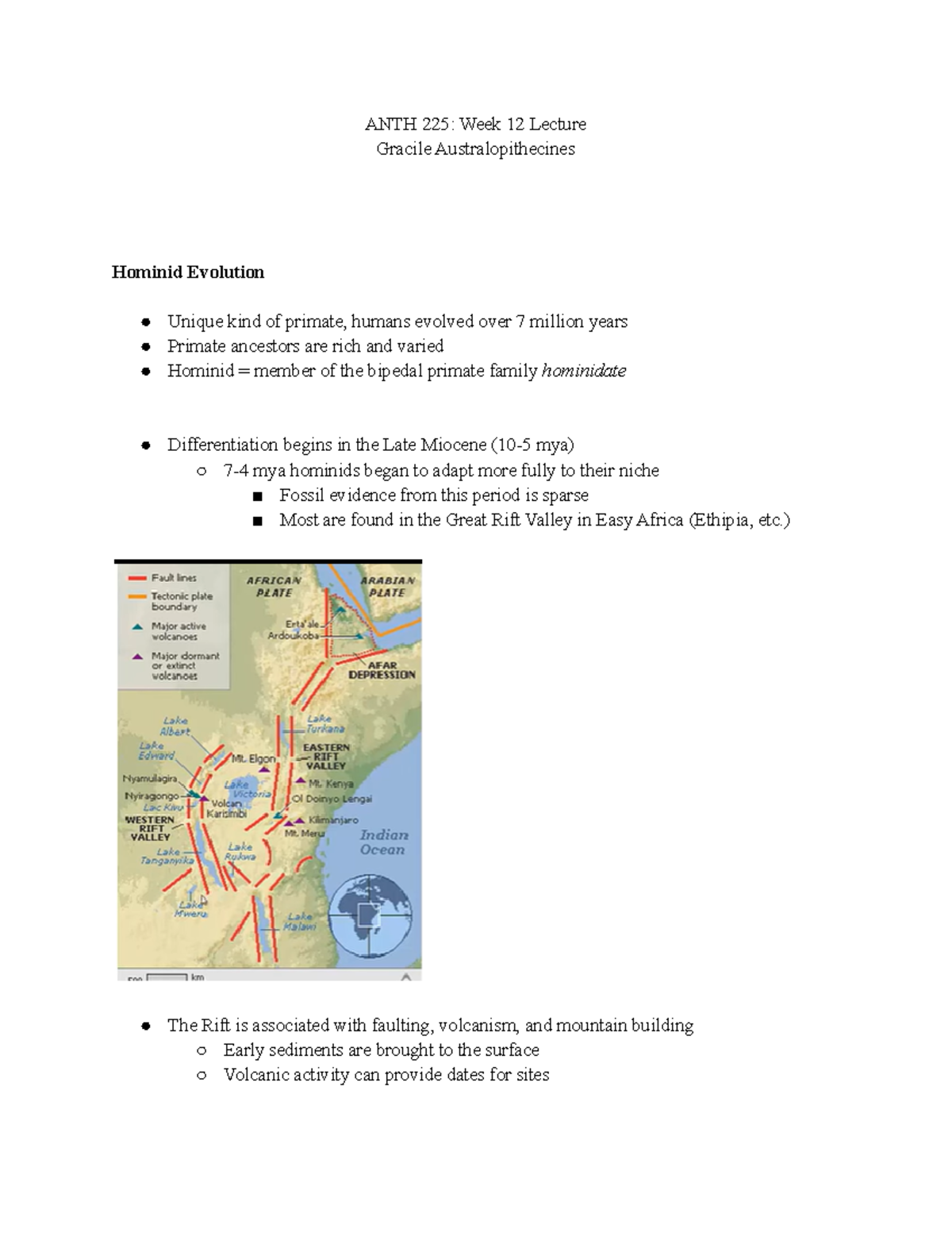 Week 12 Lecture Gracile Australopithecines - ANTH 225: Week 12 Lecture Gracile ...