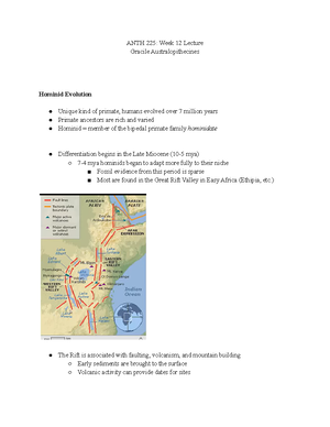 Week 12 Robust Australopithecines and Bipedalism - ANTH 225 (2022) Week ...