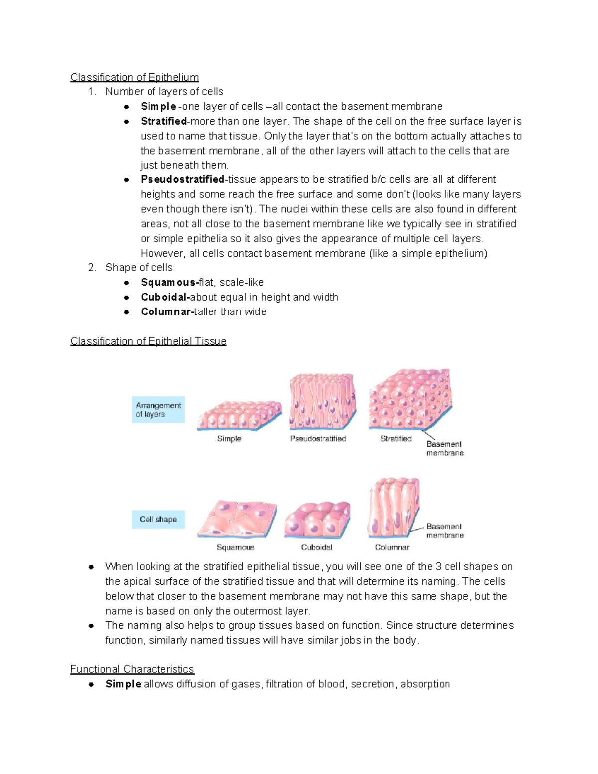 Chapter 7-9 Histology- The Study of Tissues - Classification of ...