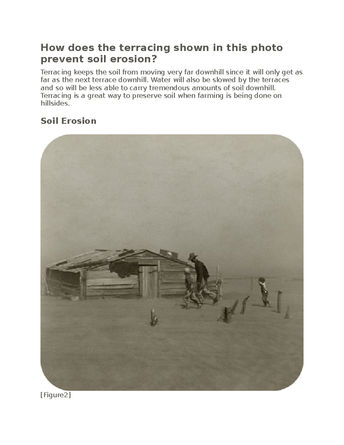 Biology part 130 - Notes - How does the terracing shown in this photo ...