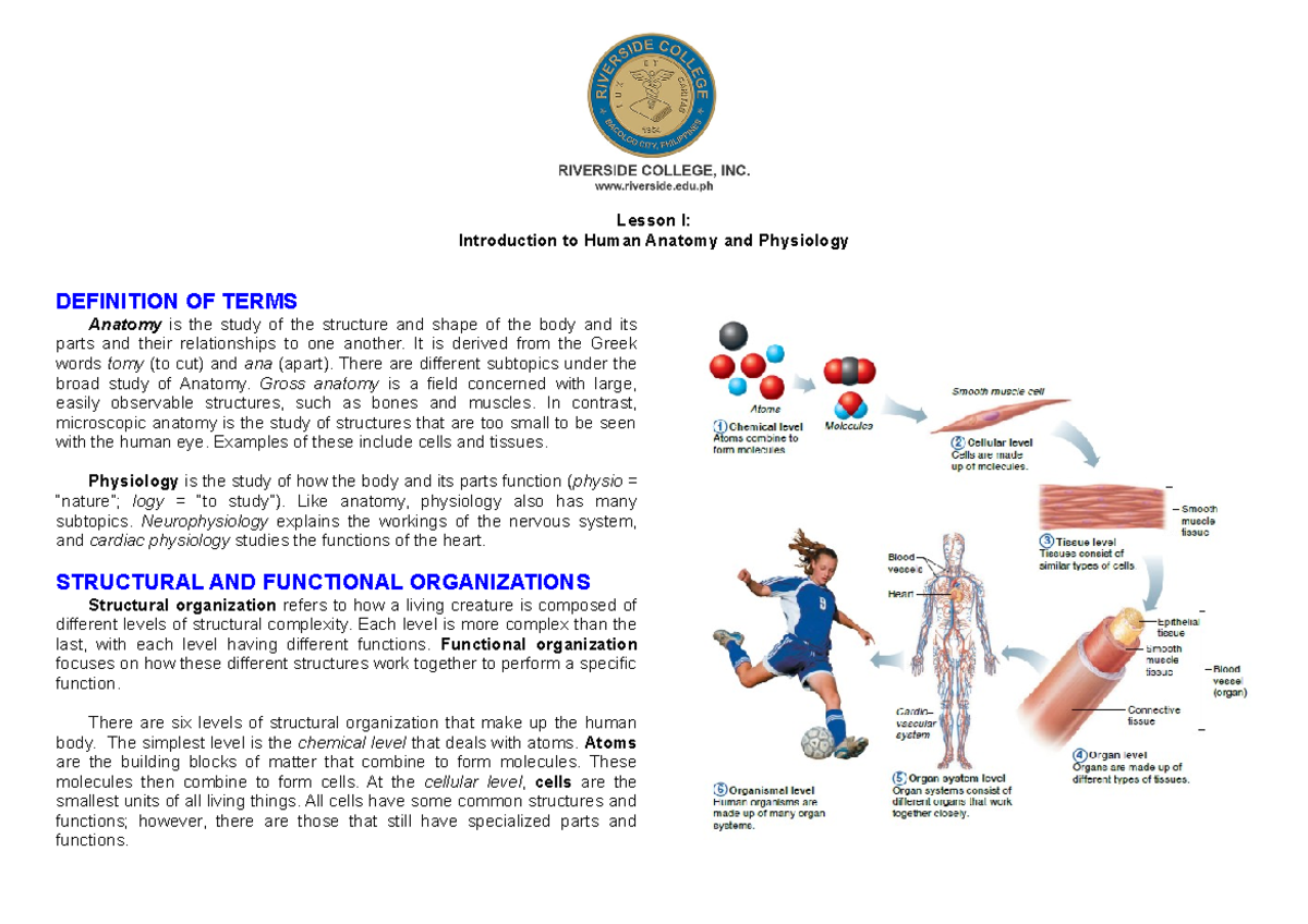 I. Introduction to Human Anatomy and Physiology - Lesson I ...