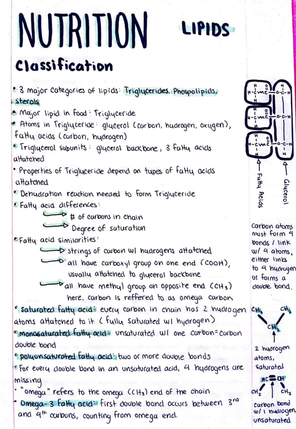 Lipids - Lecture notes 4 - I I I I l llP-lbS I C\oss\ficatiow. / Mojor ...