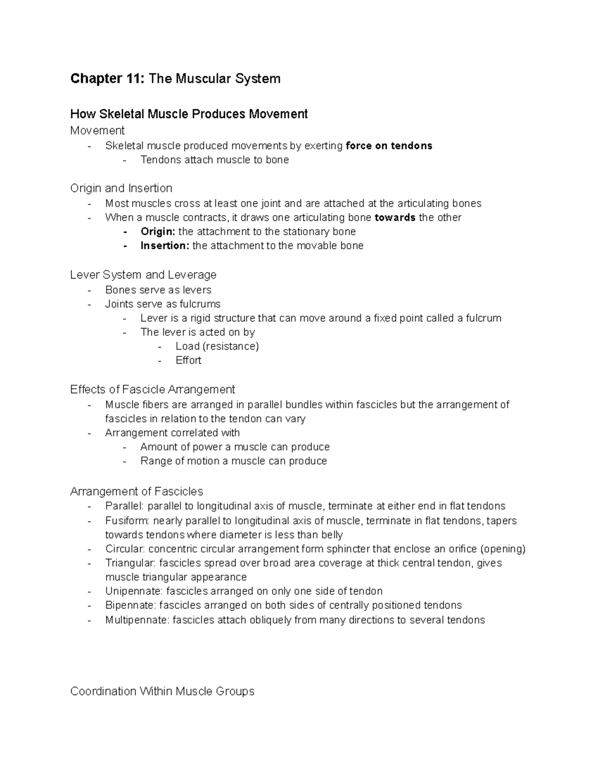 Chapter 11- The Muscular System - Studocu