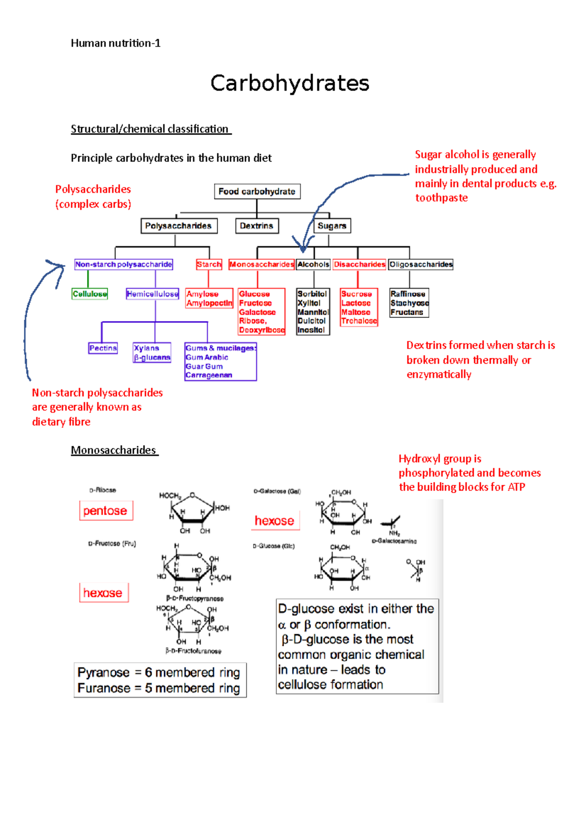 Human nutrition-Carbohydrates - Carbohydrates Structural/chemical ...