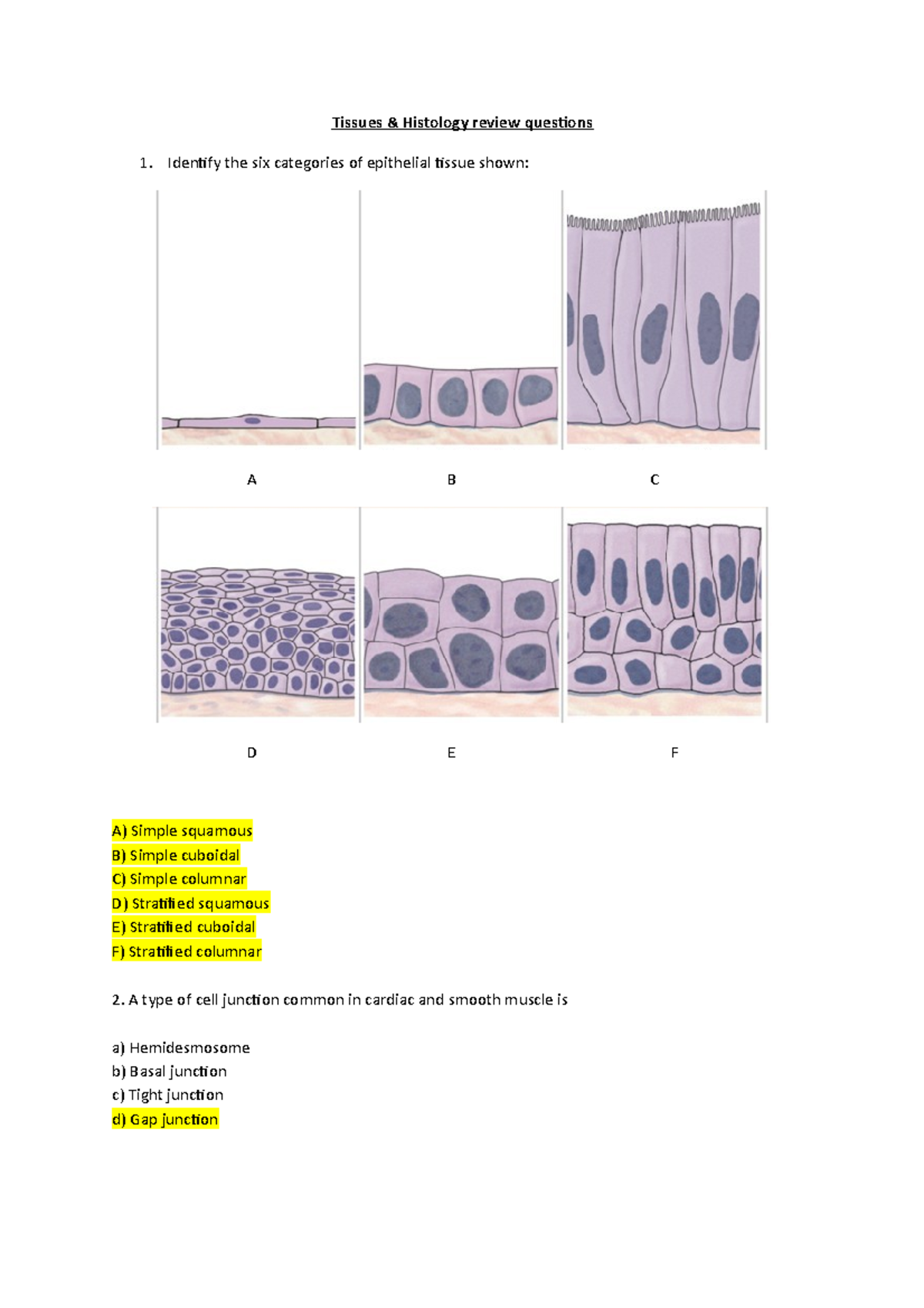 Tissues ANS - lecture notes - Tissues & Histology review questions ...