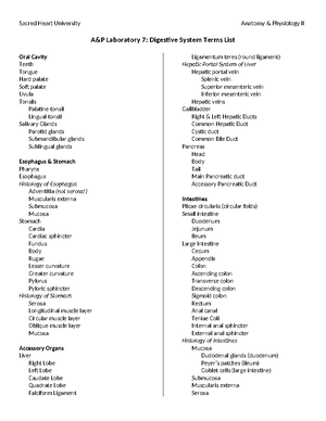4. Kidney Dissection Instructions - BI 209 - A&P II Laboratory 8 ...