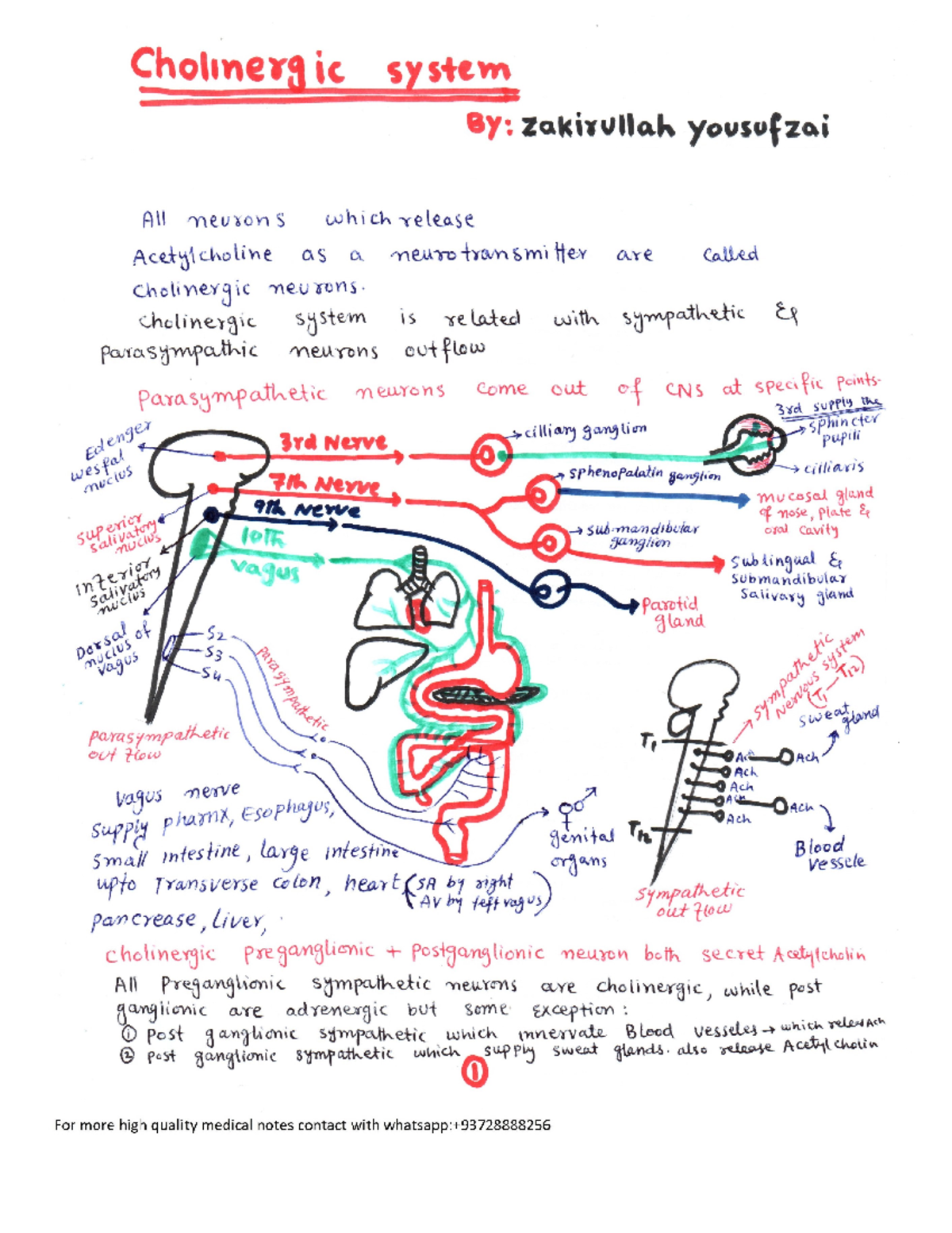 3 Cholinergic System 0 - Lecture - Cholinerg ic system : zakirullah ...