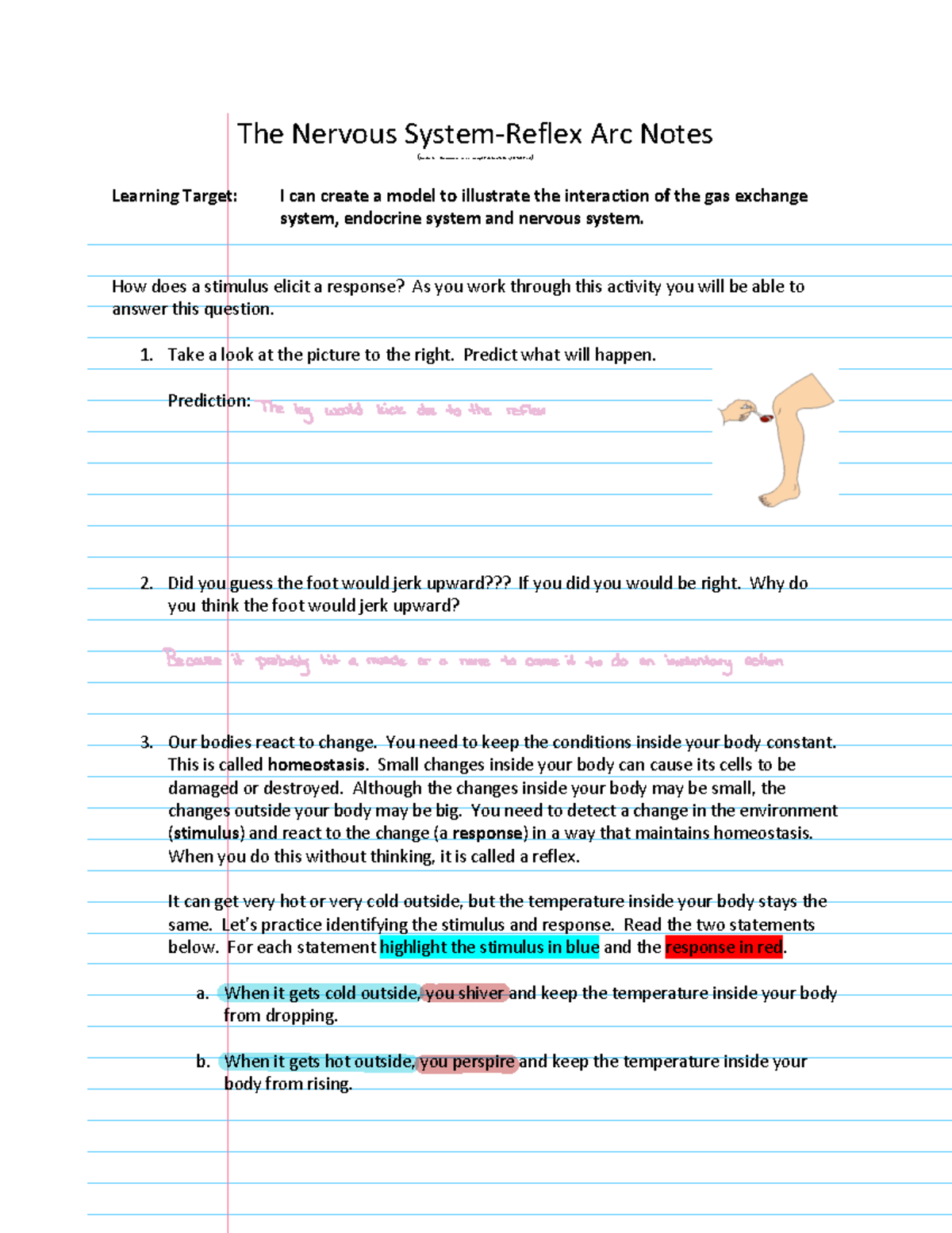 36BFDB19 51DE 49A5 9E9A D0BE6A88FB76 - The Nervous System-Reflex Arc ...