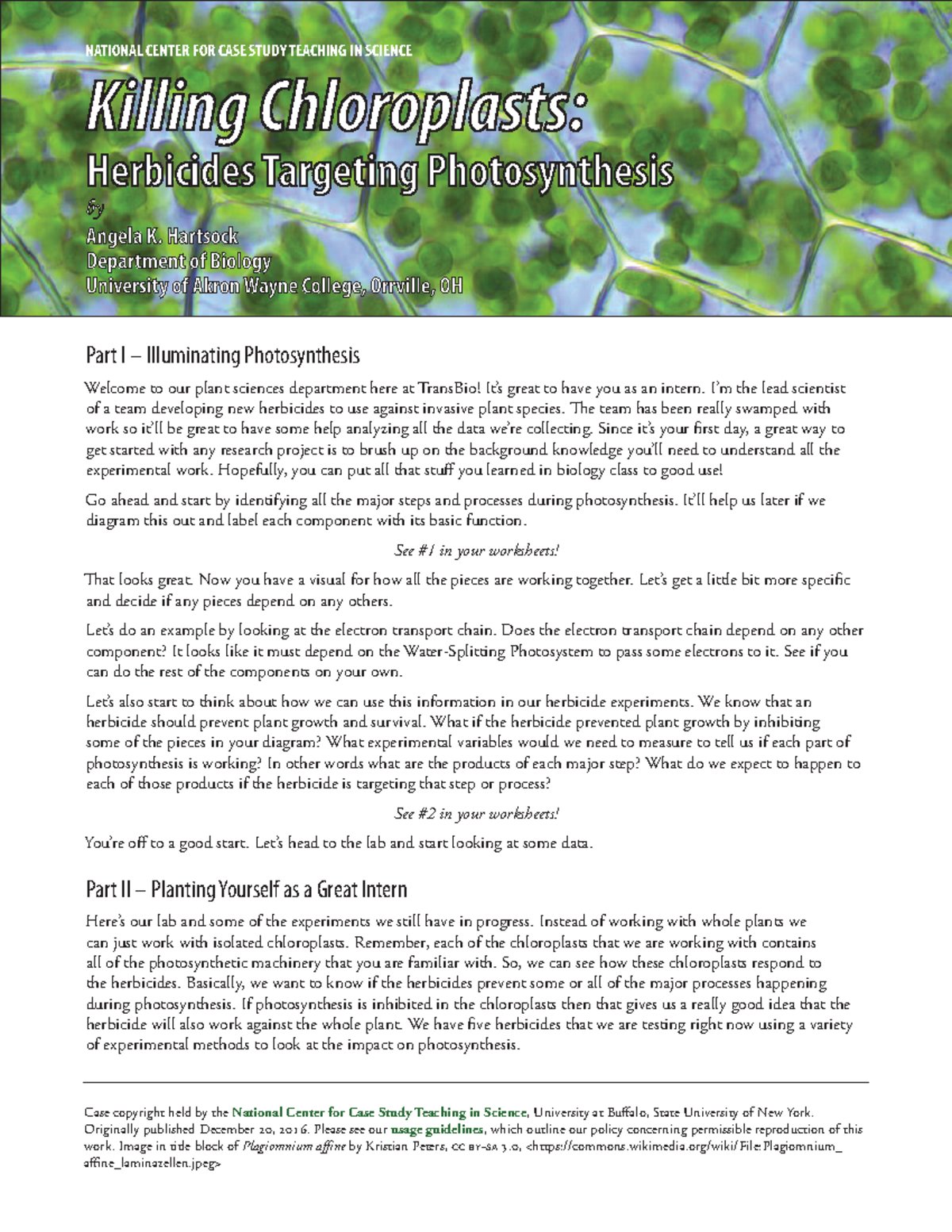 Killing chloroplasts flip - NATIONAL CENTER FOR CASE STUDY TEACHING IN ...