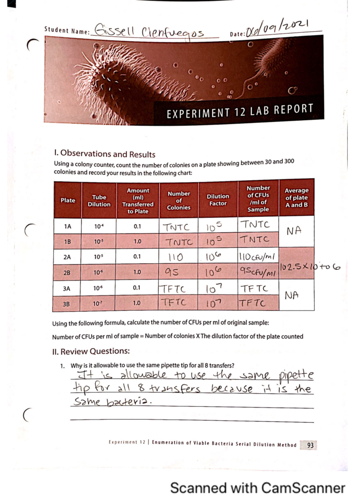 Experiment 12 Lab Report - MCB2010L - Studocu