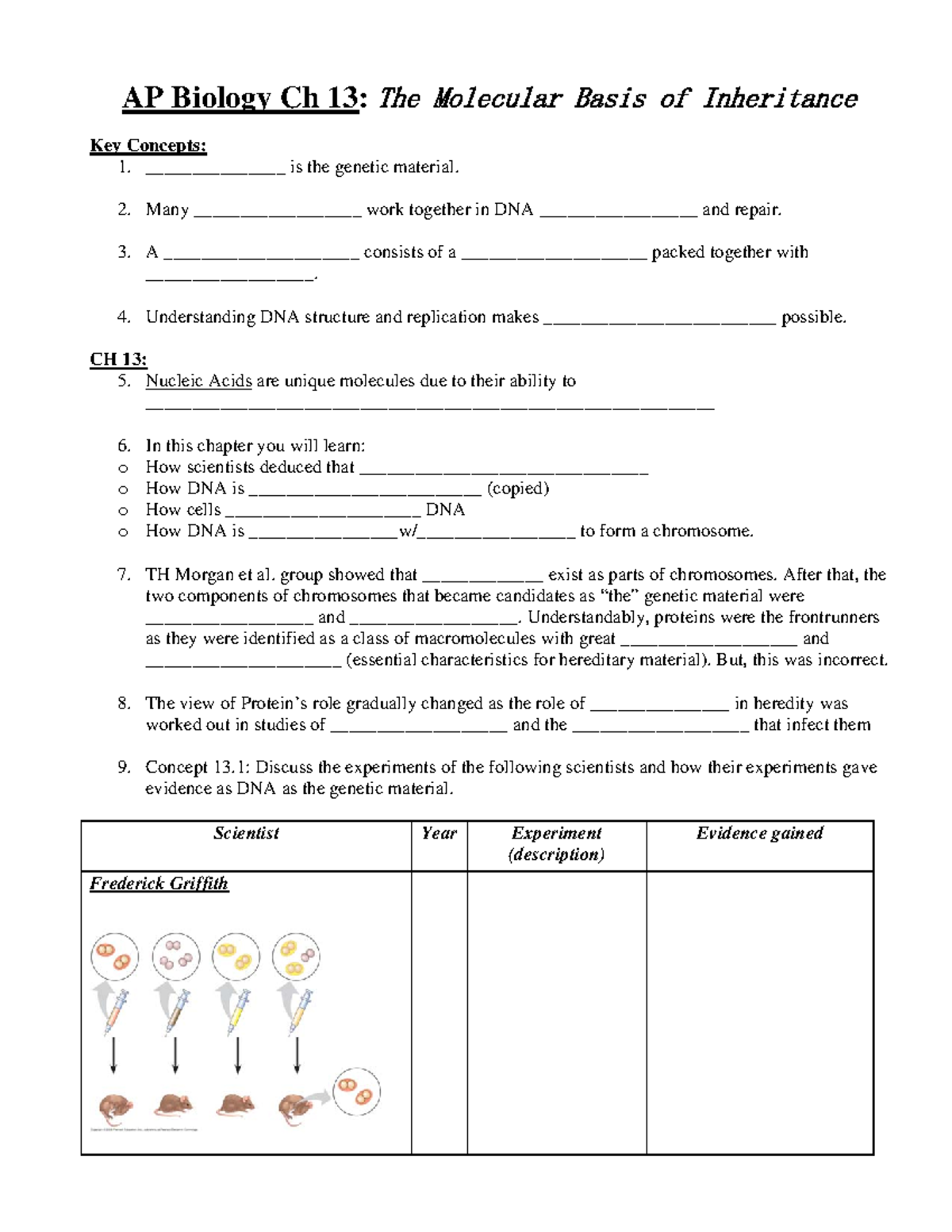 Ch 13 Molecular Basis of Inheritance 2017 - AP Biology Ch 13: The ...