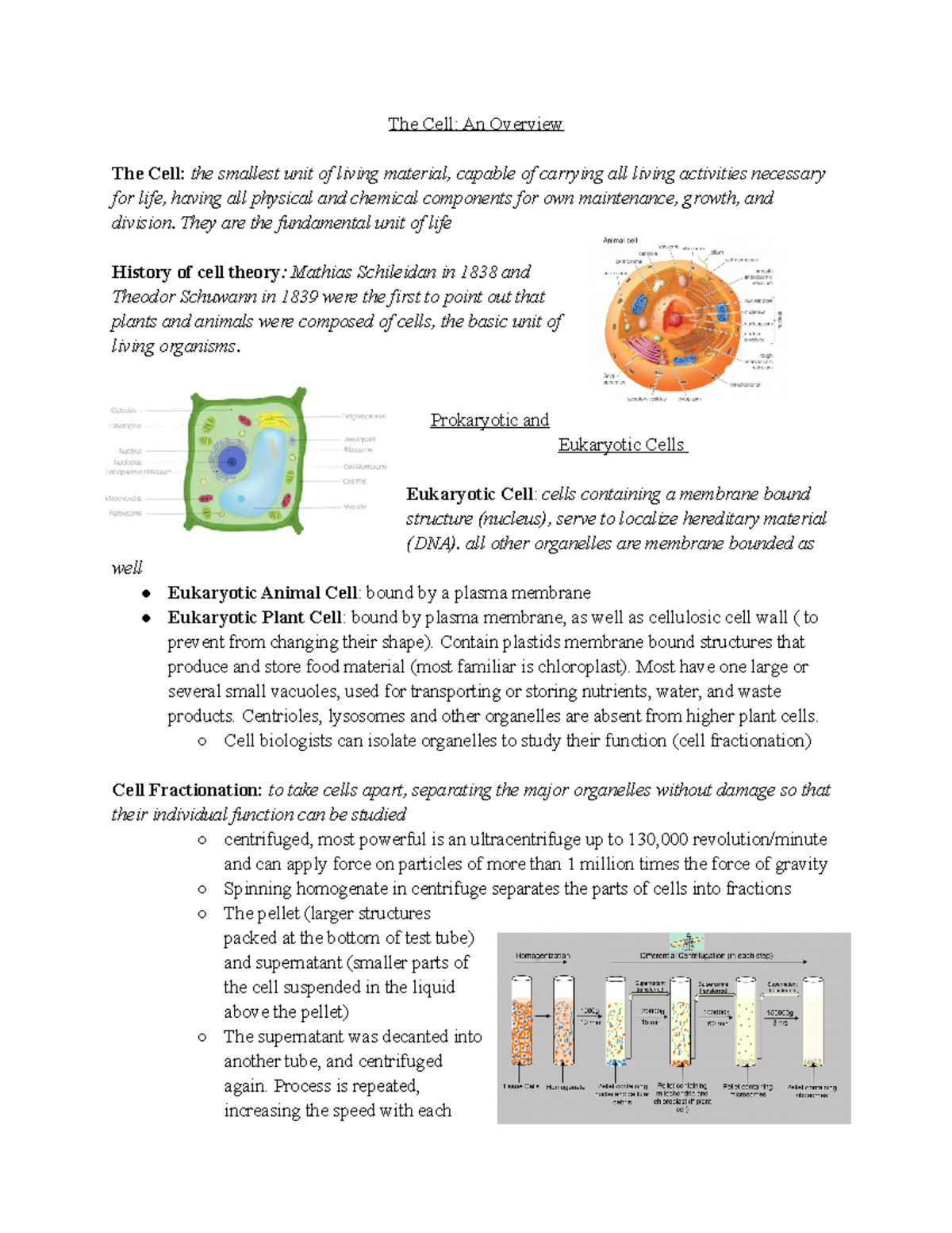 Chapter 2 The Cell - Sabah Nasserulla The cell notes - The Cell: An ...