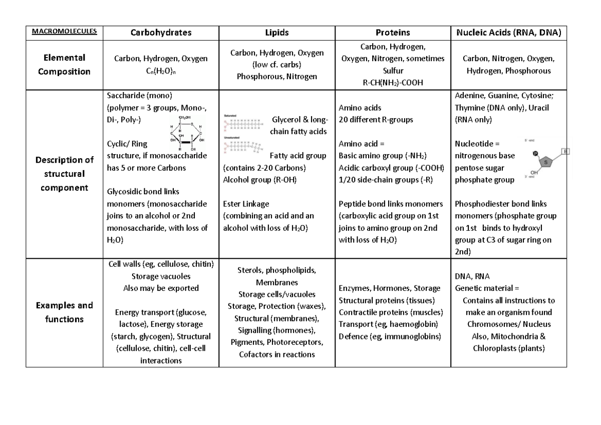 Answers summary tables - MACROMOLECULES Carbohydrates Lipids Proteins ...