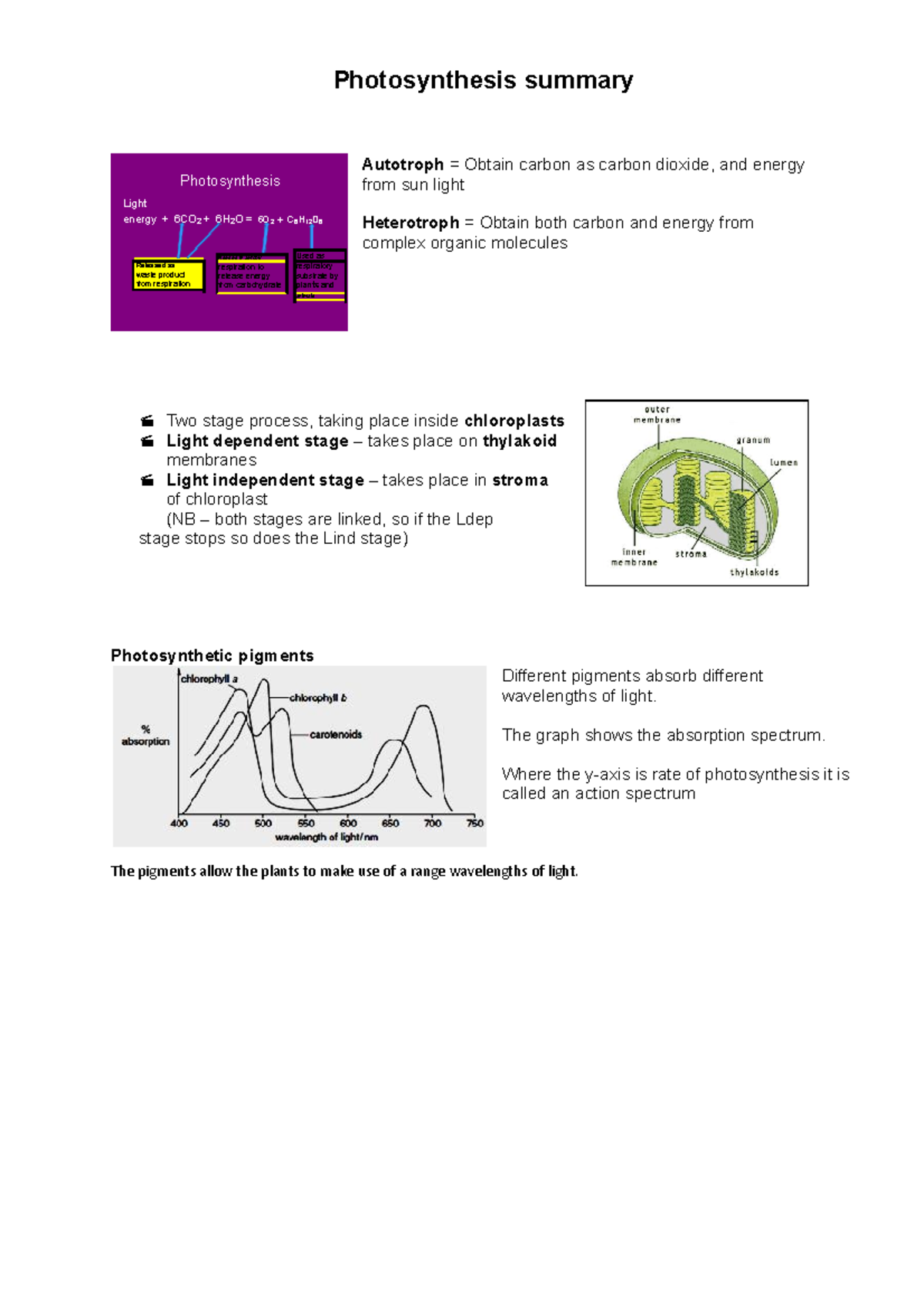 F214 Photosynthesis - Lecture notes - Photosynthesis summary ...