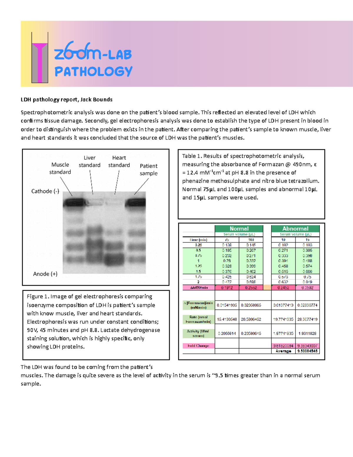 Lab 3 - Pathology report - LDH pathology report, Jack Bounds ...