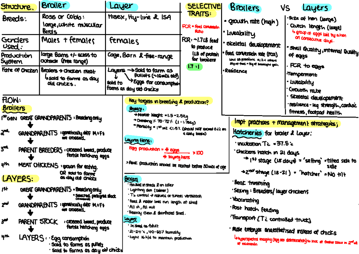 Summaries - Lecture on poultry (broiler verse layers) summary ...