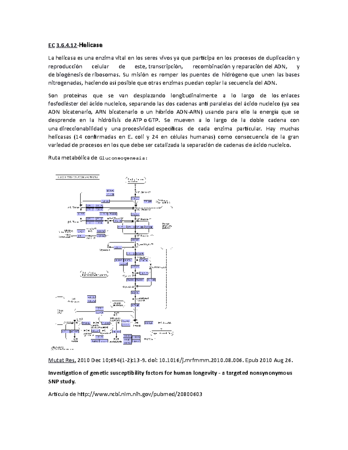 Helicasa Ivan Valdez - EC 3.6.4-Helicase La helicasa es una enzima ...