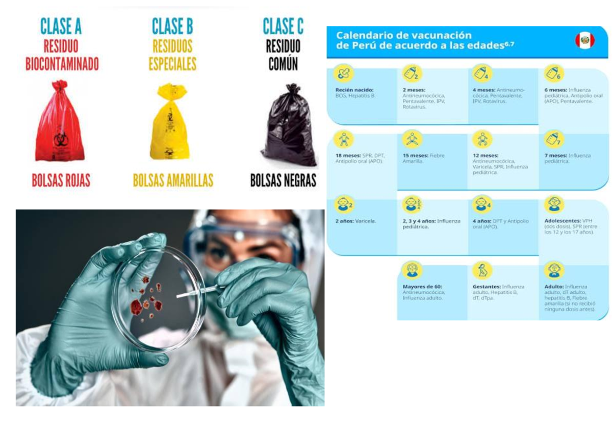 Bio - asdasdasd - Ingles I - Studocu