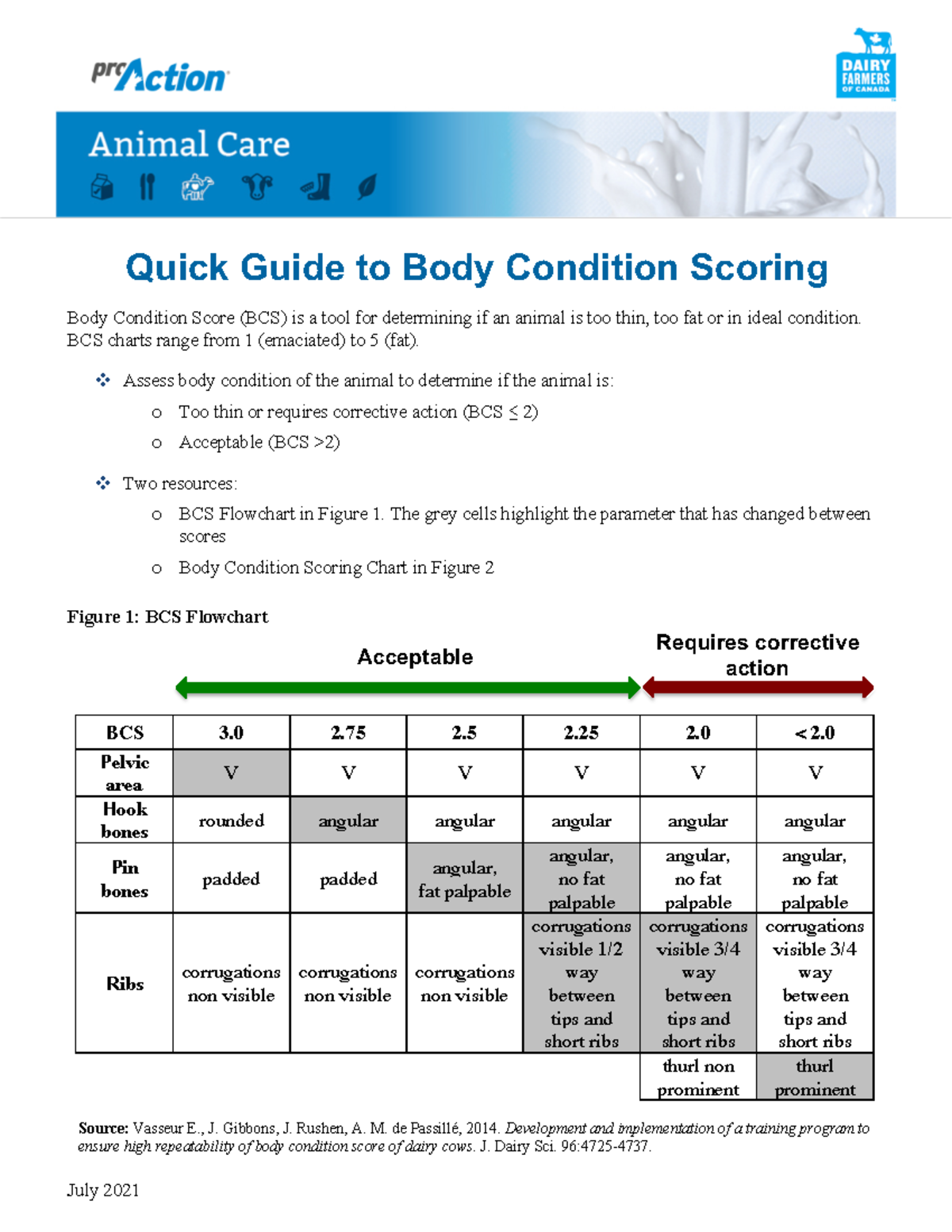 Quick Guide to Body Condition Scoring-Jul1621-EN - July 2021 1 1 Quick ...