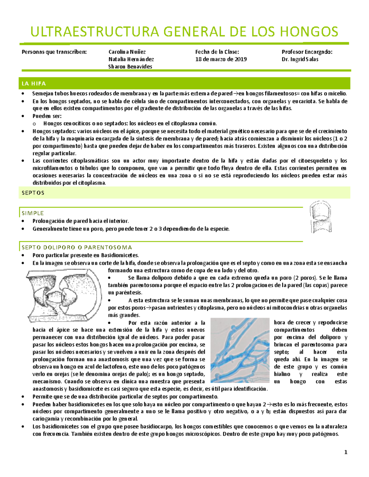 Clase 2. Ultraestructura fúngica - Warning: TT: undefined function: 32 Warning: TT: undefined ...