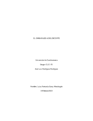 Informe Fisica maquinas simples - PRESENTADO POR: Luisa Fernanda Garay ...