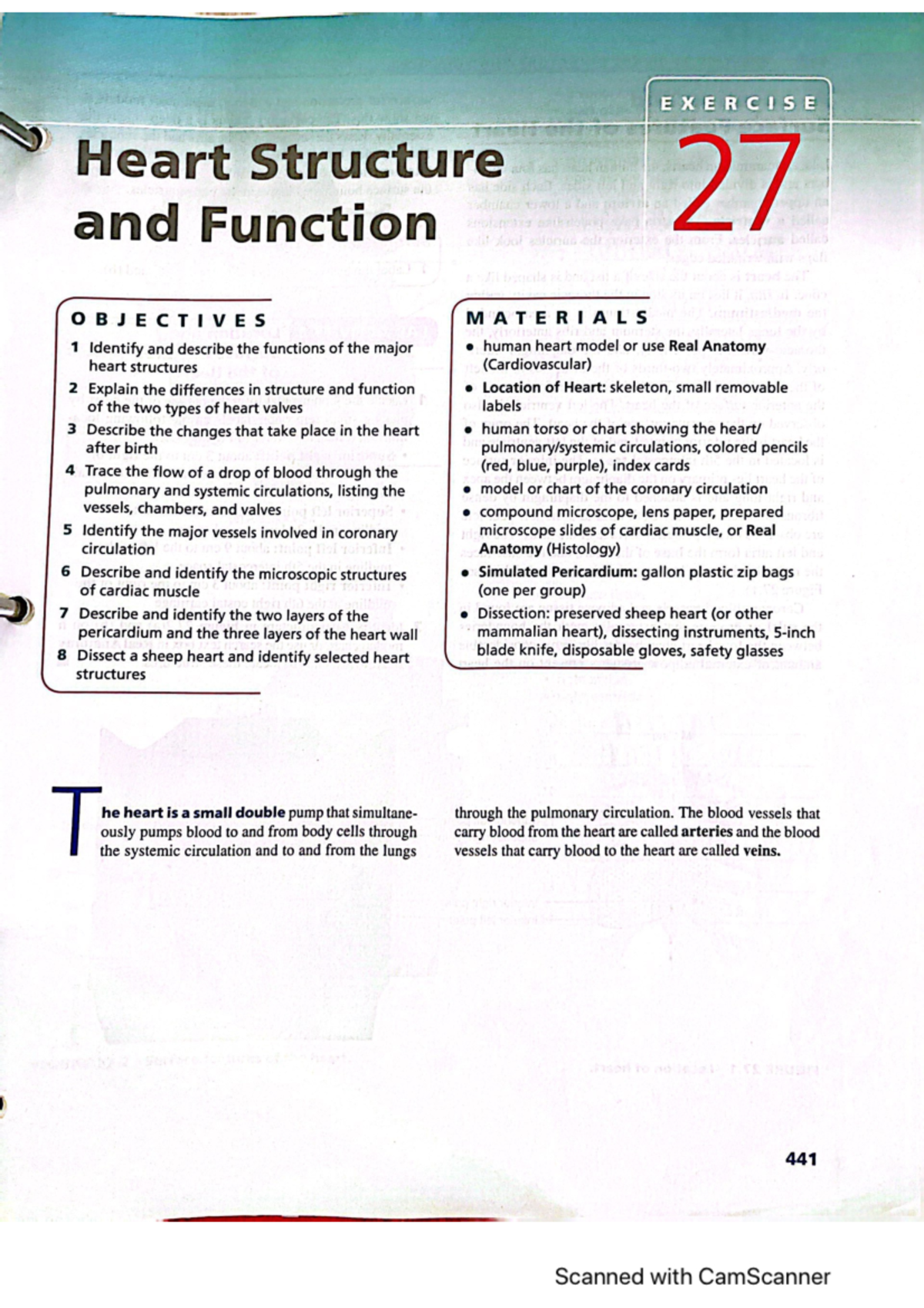 Heart structure and function part 1 - BIOL 141 - Studocu