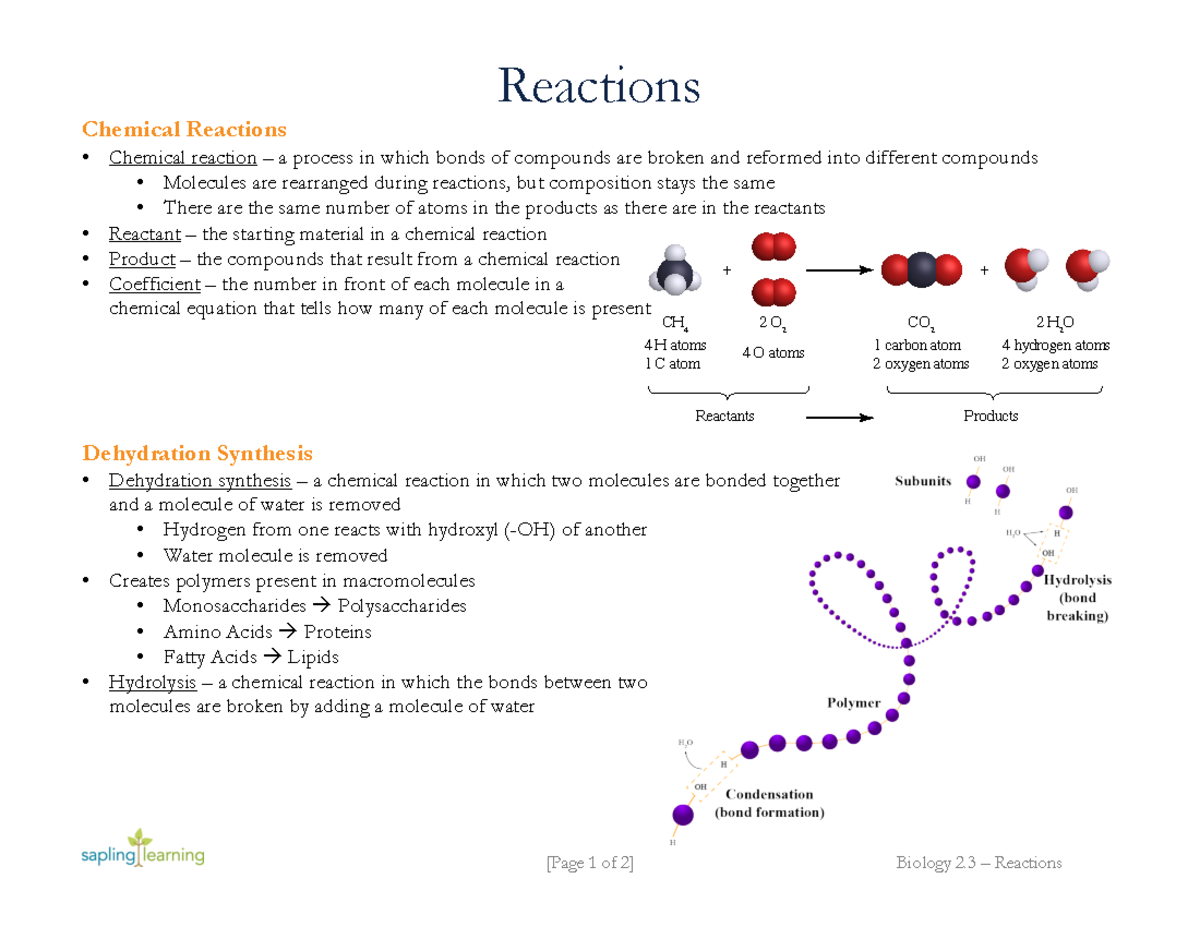 Bio 2-3 Reactions - IDK - Reactions [Page 1 of 2] Biology 2 – Reactions ...