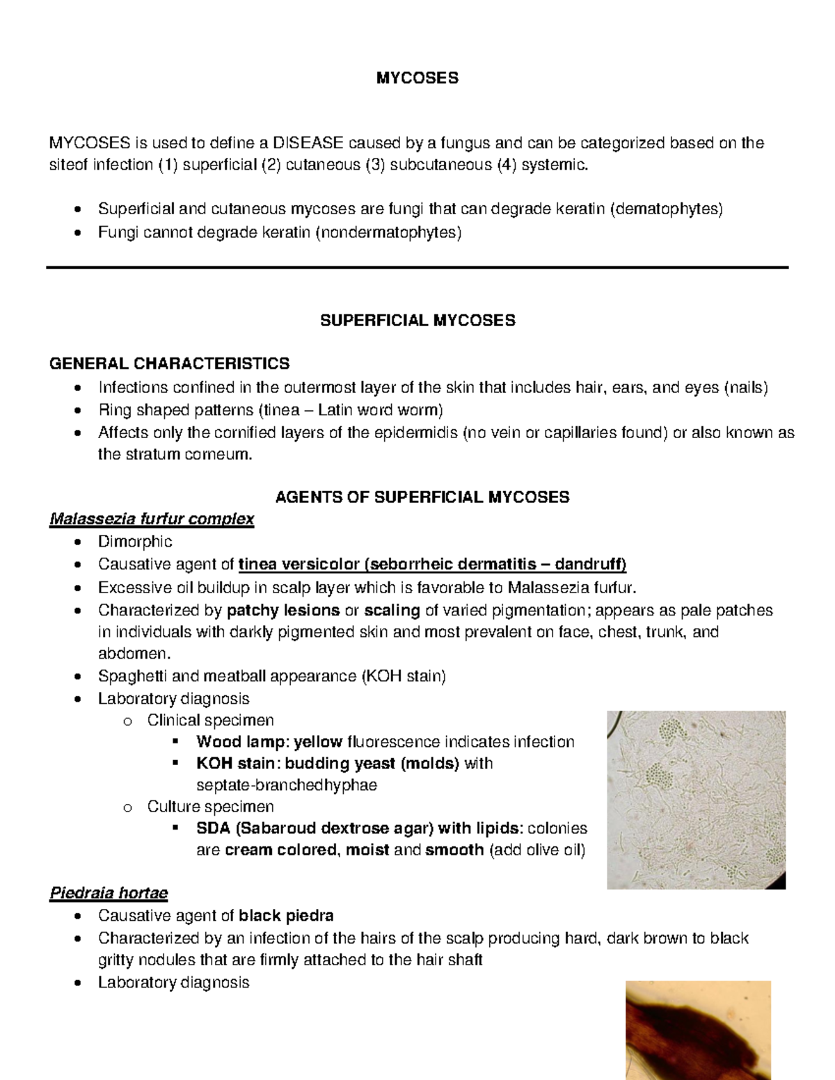MYCV LEC WEEK 2 - ........ - MYCOSES MYCOSES is used to define a DISEASE caused by a fungus and ...