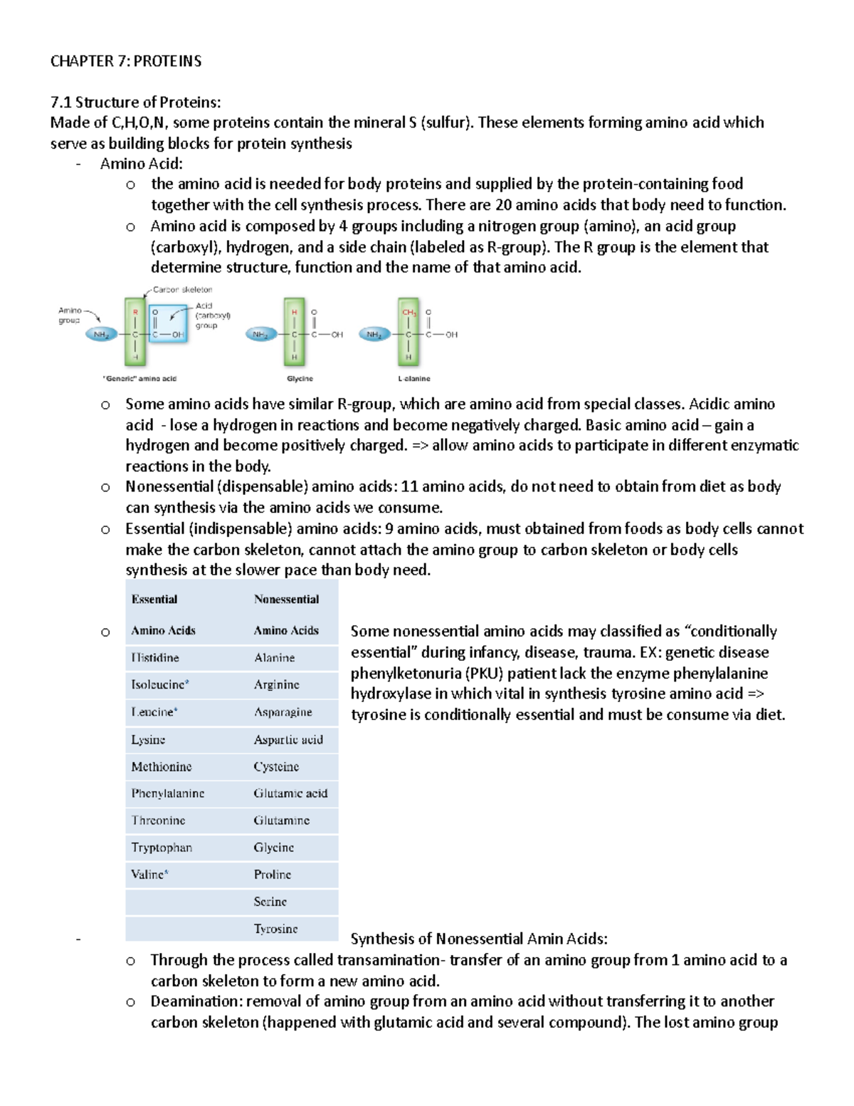 Chap 7 note - the protein - CHAPTER 7: PROTEINS 7 Structure of Proteins ...