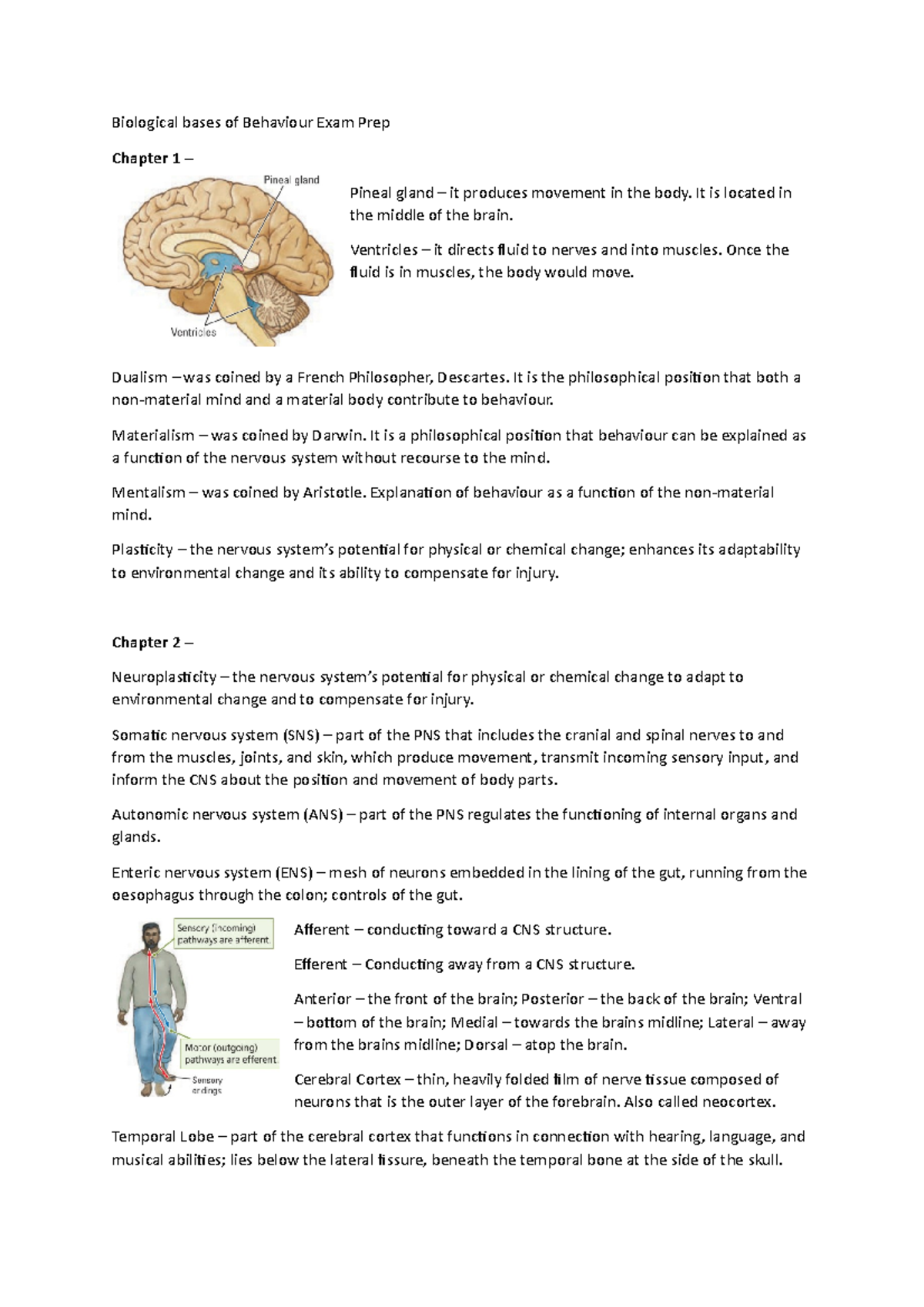 Biological bases of Behaviour Exam Prep - It is located in the middle ...
