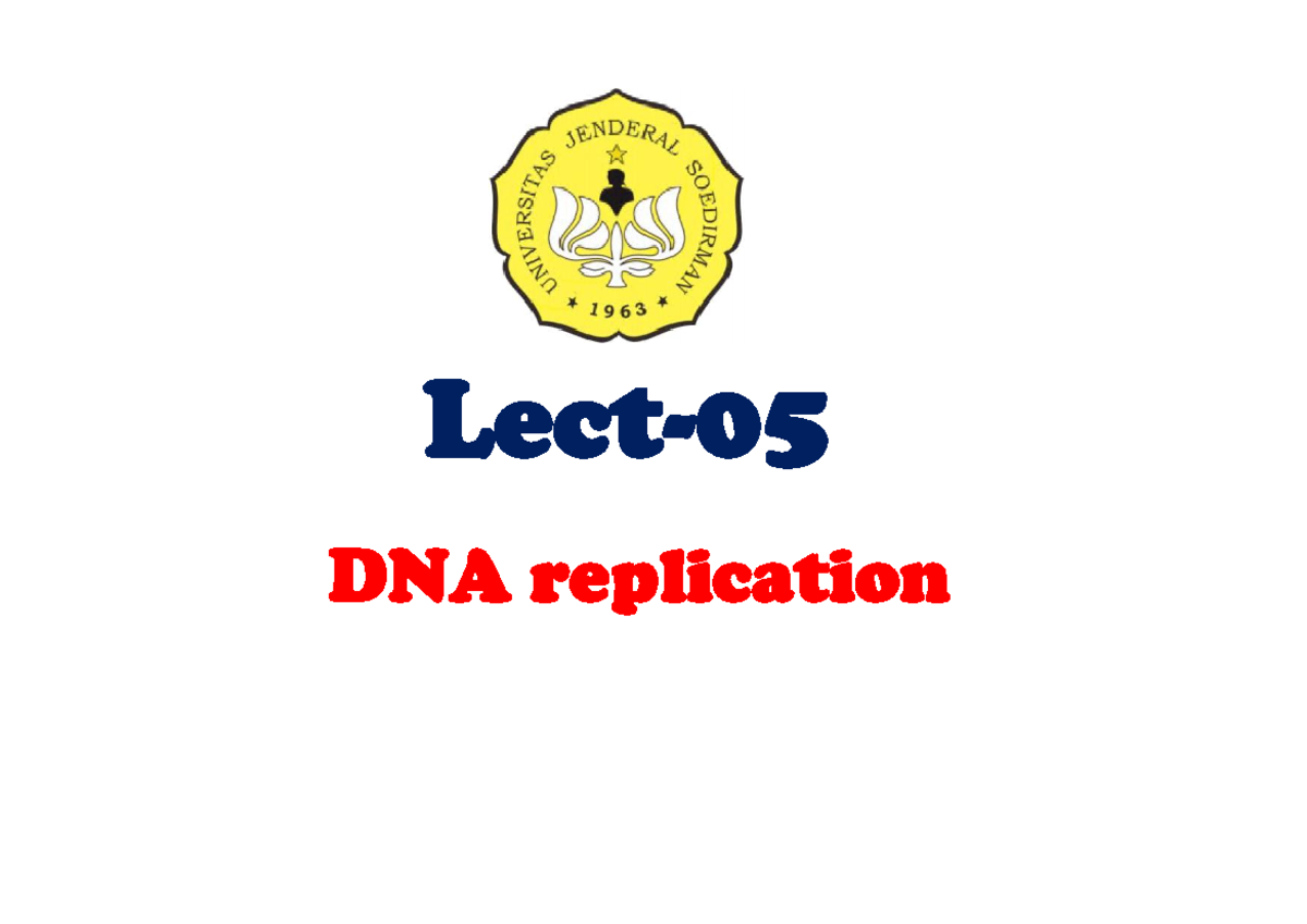 LECT-05 DNA replication (2019 2020-1) - DNA replication Lect- 05 DNA replication: an overview ...