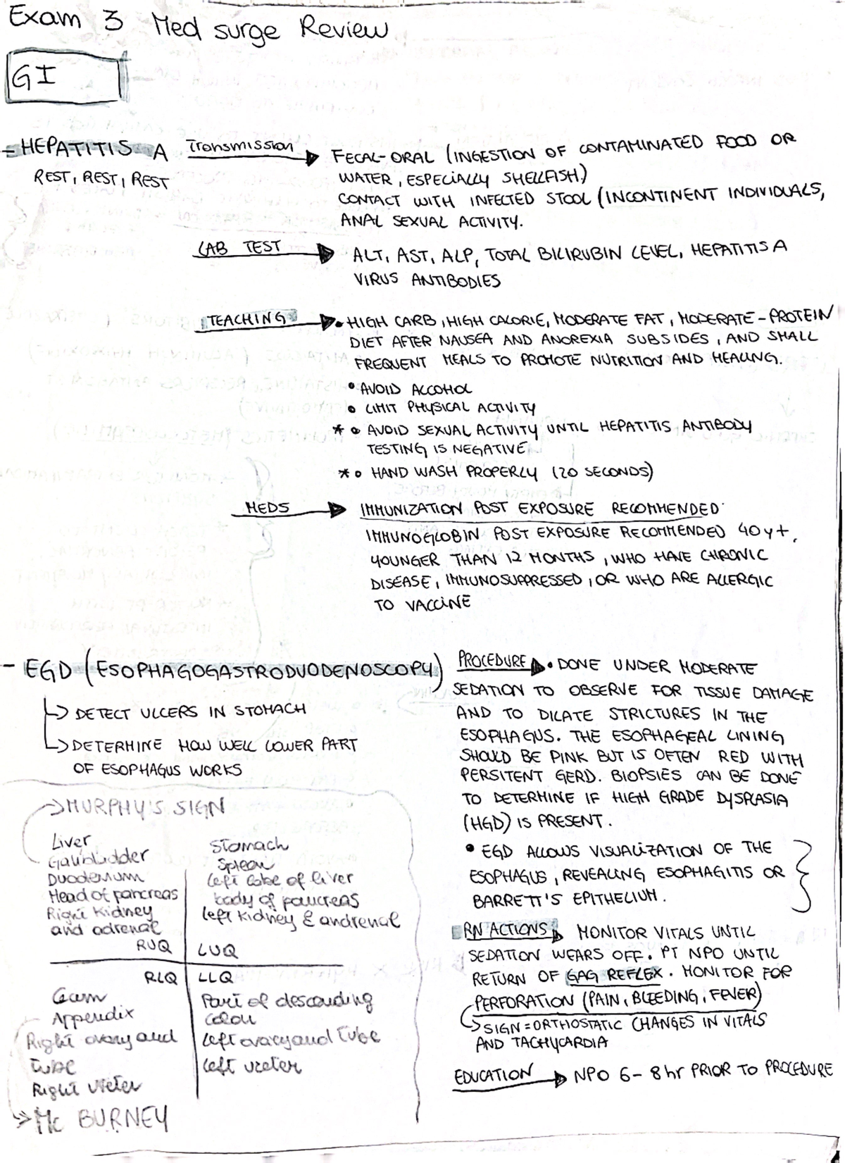 Exam 3 notes GI:Endo - H170607 - Studocu