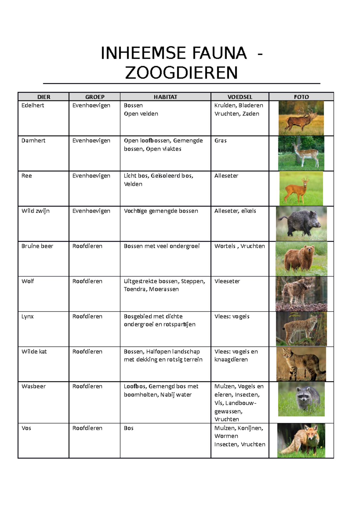 ANWB Tabel Zoogdieren - INHEEMSE FAUNA - ZOOGDIEREN DIER GROEP HABITAT ...
