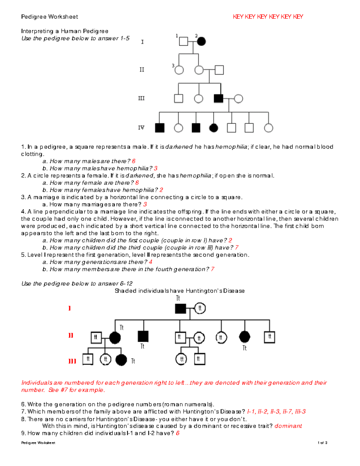 Pedigree Worksheet Answers - Pe d ig re e Wo rkshe e t 1 o f 3 Ped ig ...