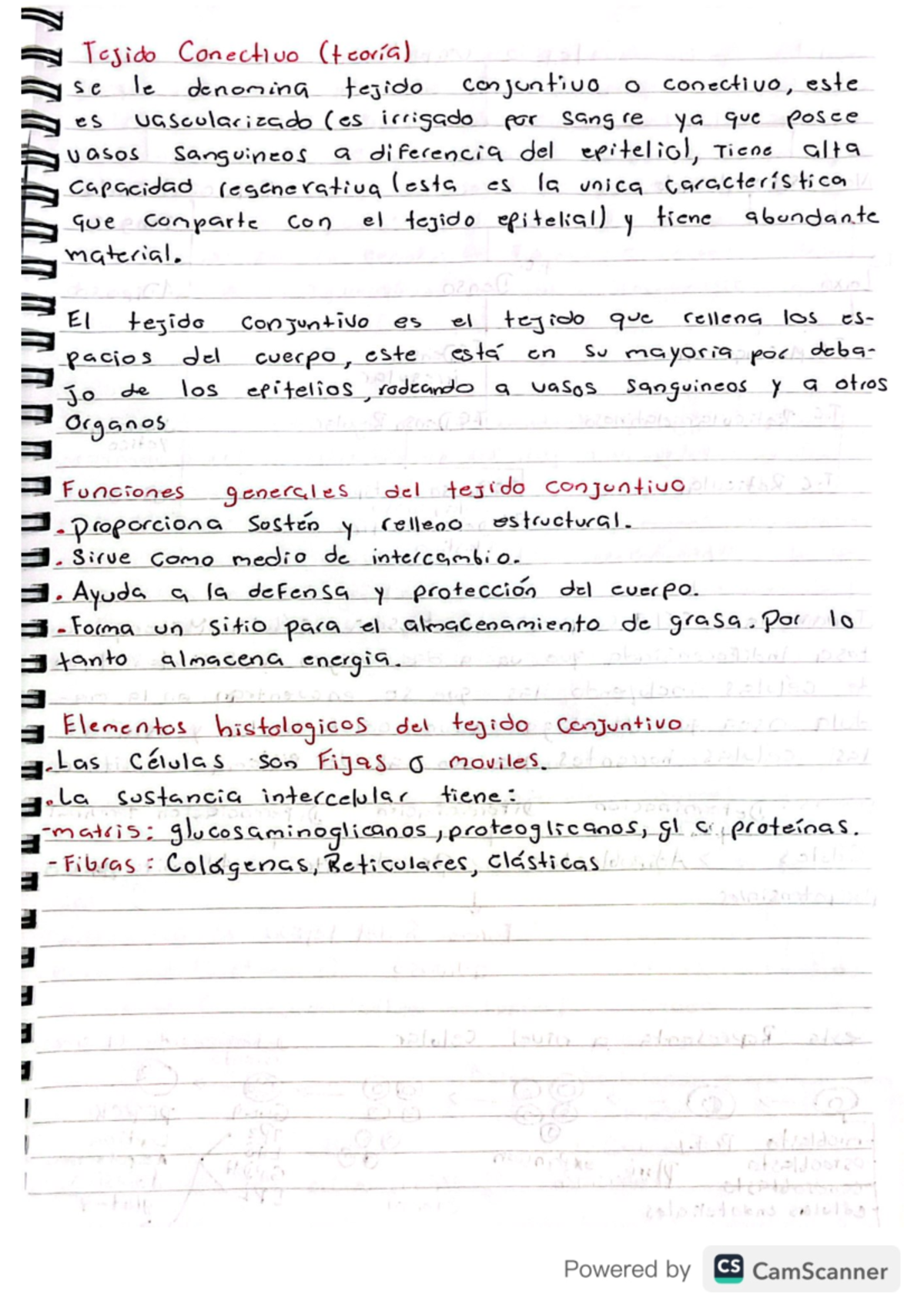 Apuntes tejido conjuntivo - Tosido Conectivo (teoria) se le denomina ...