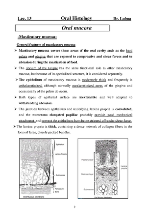 Oral Histology - Embryology - Lec. 4 Oral Histology Dr. Lubna Dentin ...