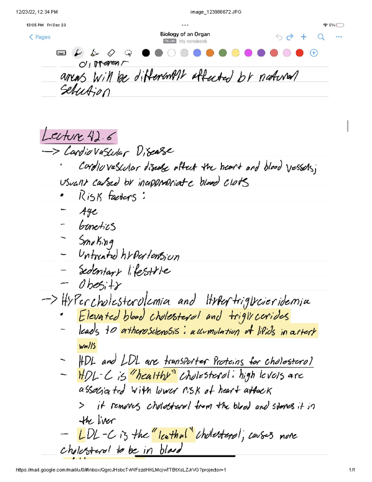 Studocunotes 3 - These are detailed notes on a virtual lecture from my ...