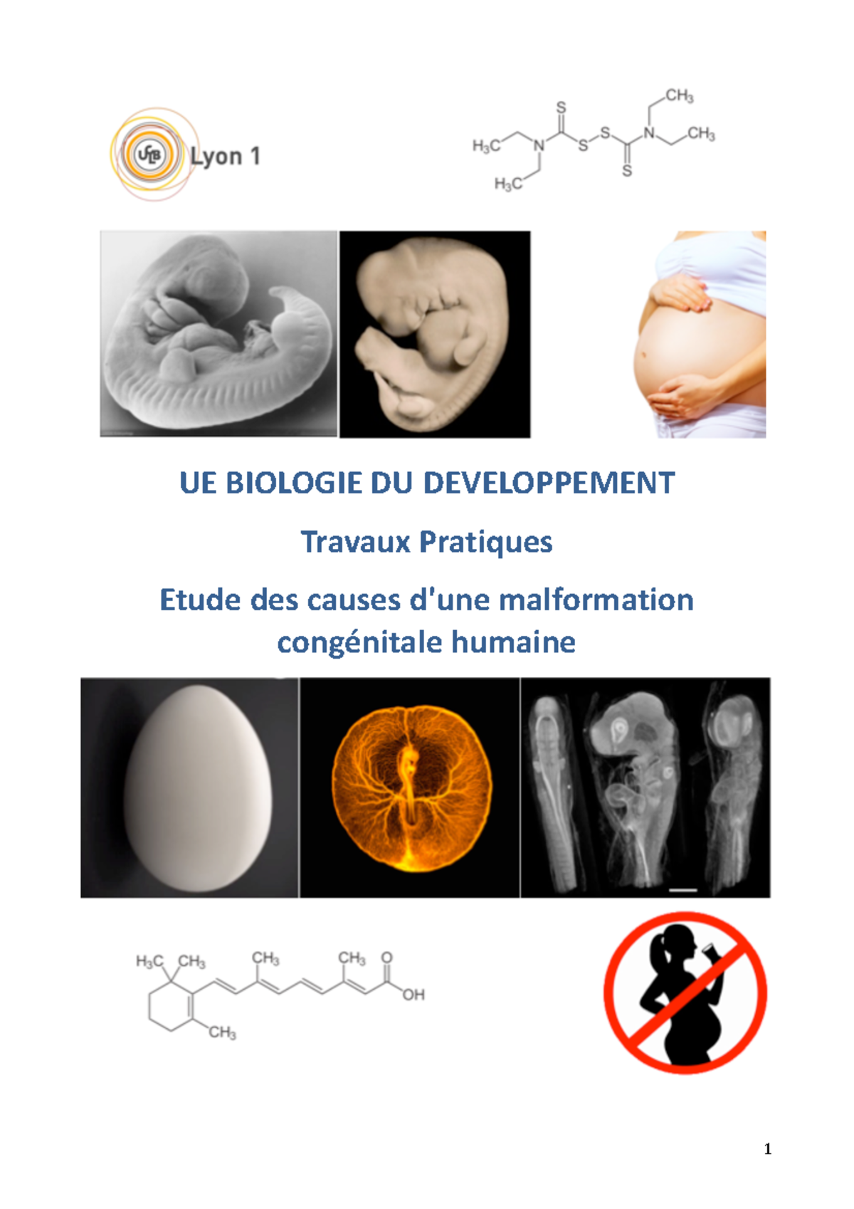 Poly de TP étudiant pour le TP en biodev - ! 1! ! ! UE#BIOLOGIE#DU# ...