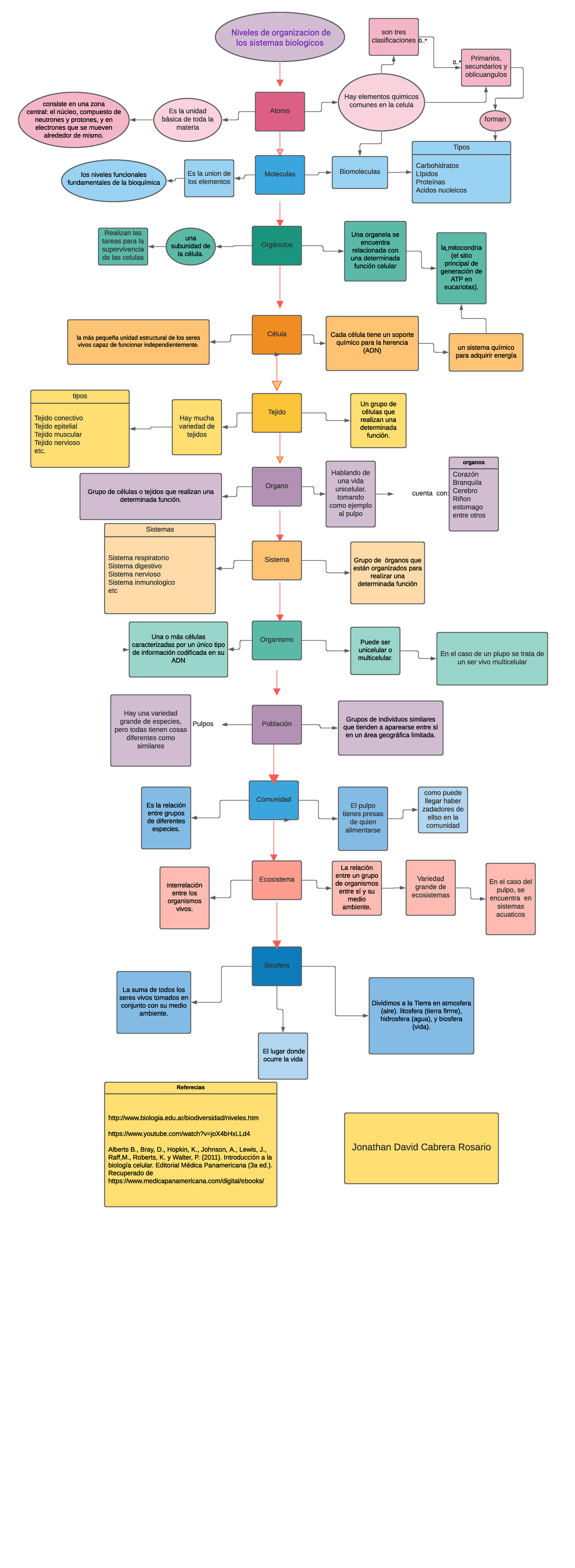 Mapa conceptual de los sistemas biológicos - cuenta con: Pulpos Niveles ...