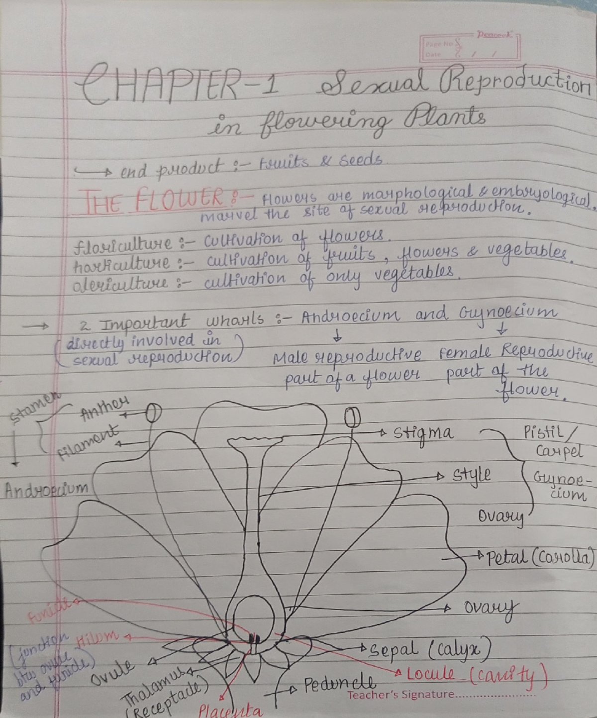 Sexual reproduction in flowering plants - horticulture cultivation of ...