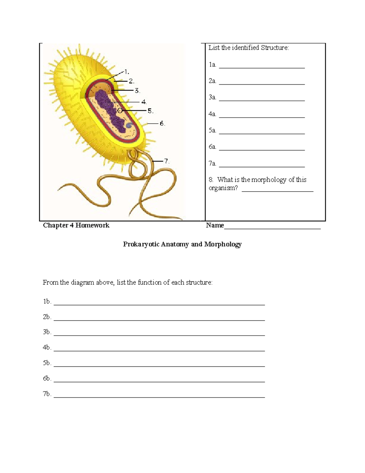 Chapter 4 Homework-2 - lab - List the identified Structure: 1a ...