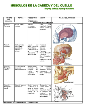 Anatomía regional de los capitulos 2 y 3 de Gray - La región dorsal del ...
