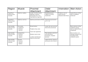 FA Week 11 Abdomen and Thorax - Functional Anatomy – Week 11 Movements ...
