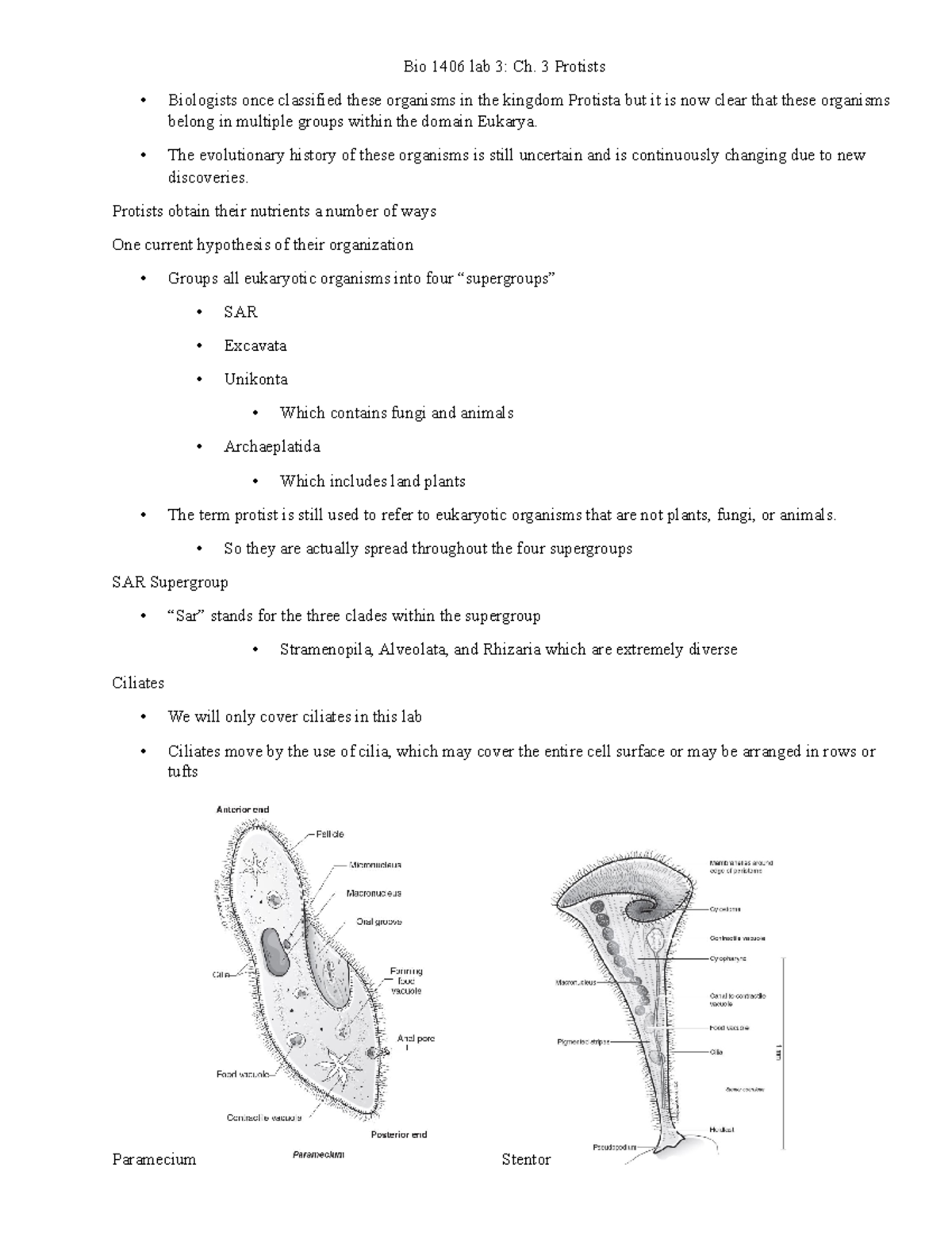 Bio 1407 lab 3 Ch. 3 - Detailed notes - Bio 1406 lab 3: Ch. 3 Protists ...