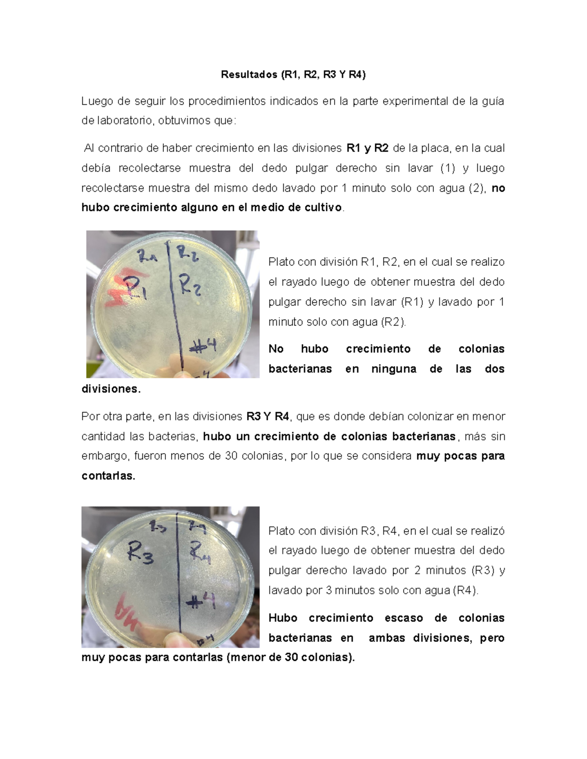 Resultados Lab#1 Bacter - Resultados (R1, R2, R3 Y R4) Luego de seguir los procedimientos ...