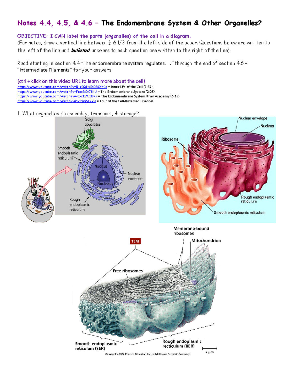 Notes 4 - Notes 4, 4, & 4 – The Endomembrane System & Other Organelles ...