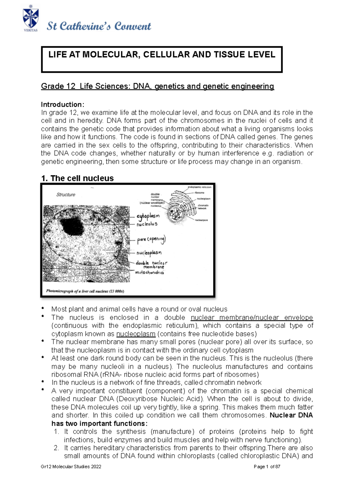 Life at molecular level DNA practice notesn - Grade 12 Life Sciences ...