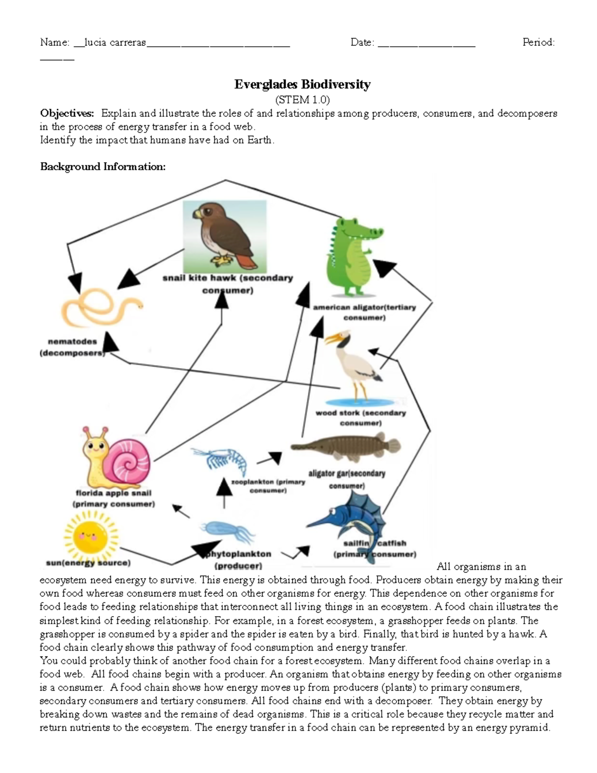Food web worksheet copy - Name: lucia carreras ...