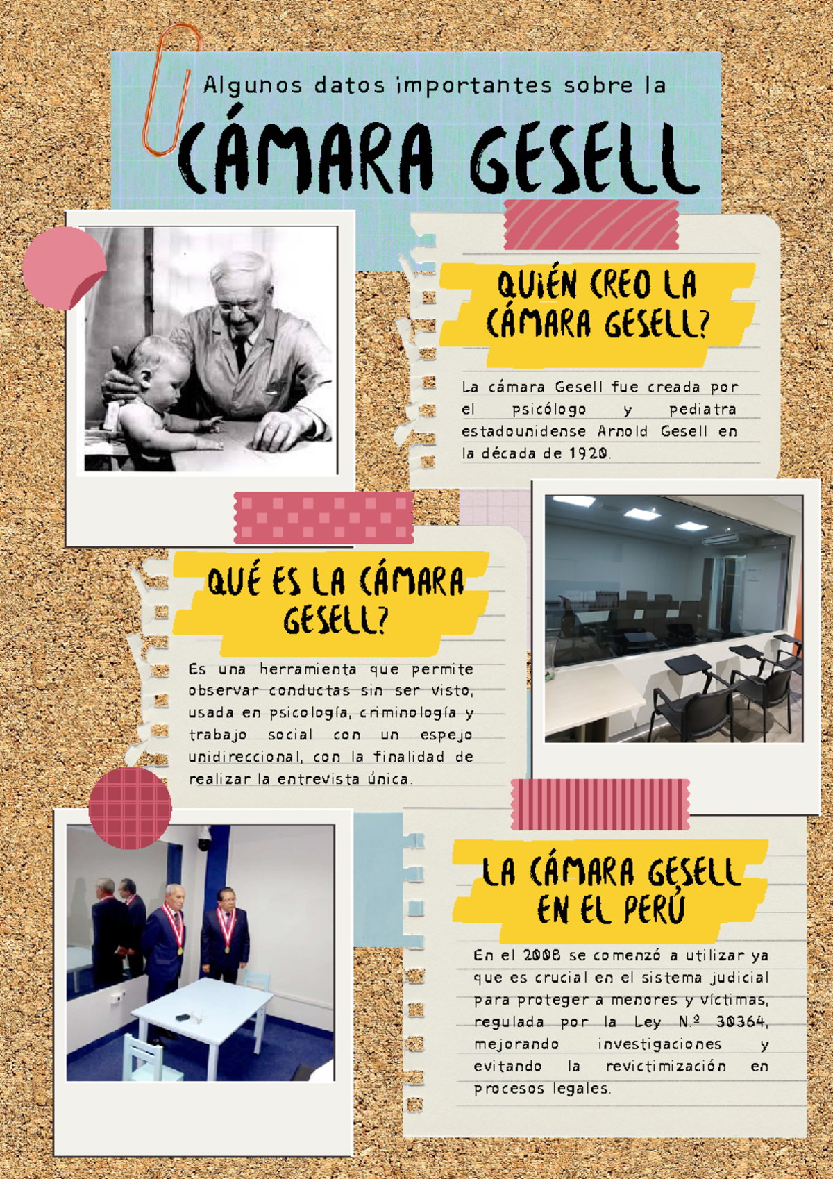 Organizador visual - Cámara Gesell - CÁMARA GESELL Algunos datos ...